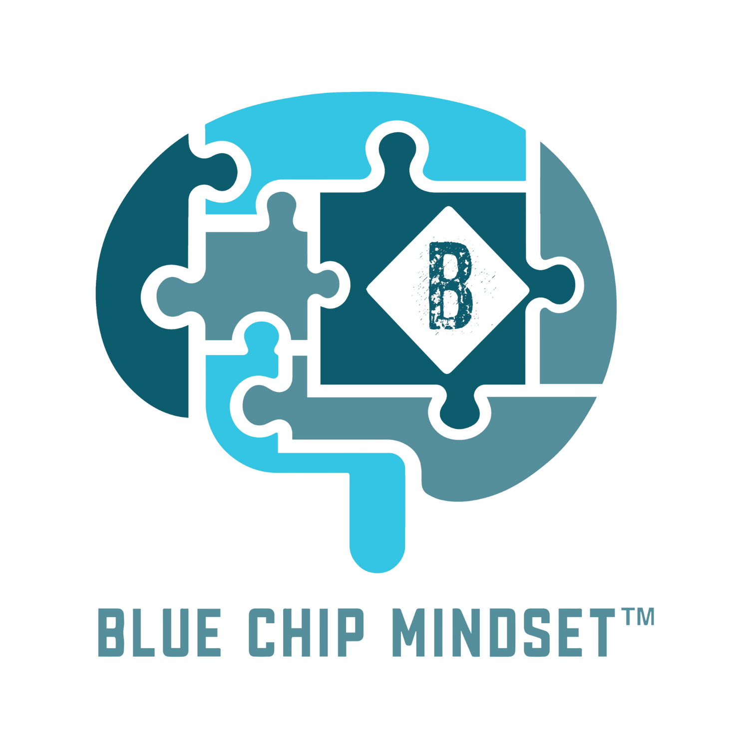 Partners and Sponsors - Blue Chip Sports