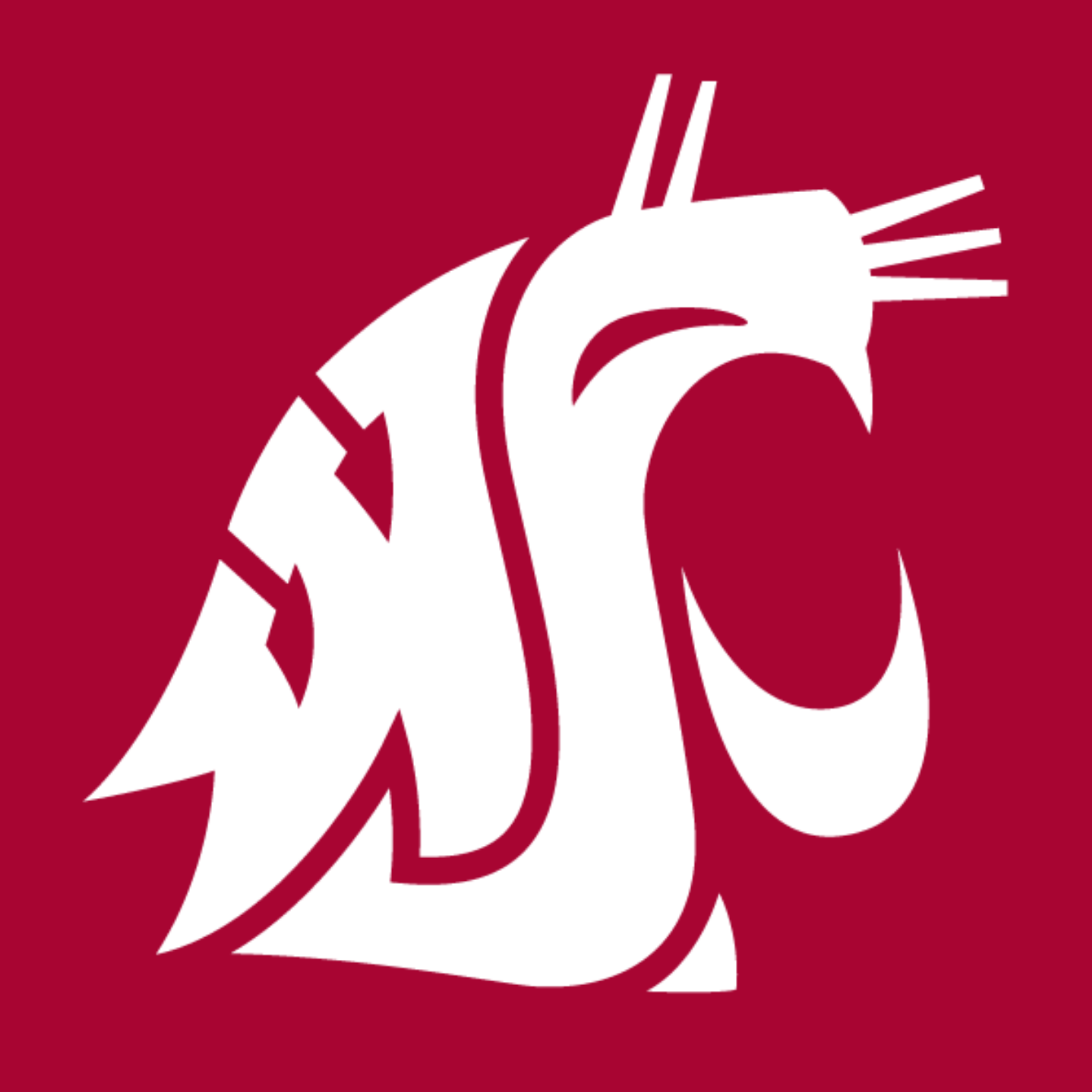 Chico - Flag - Blue Chip Sports